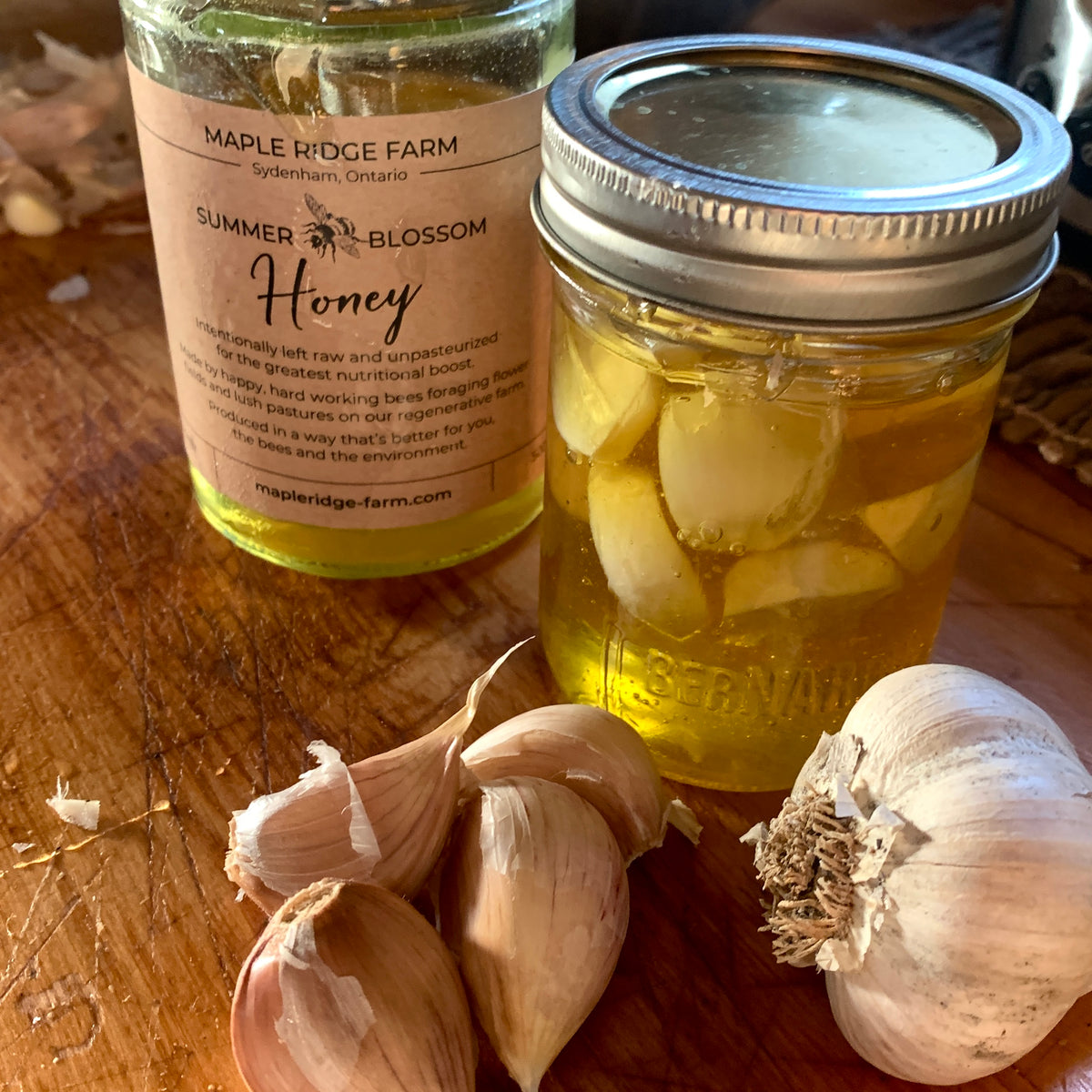 How to Stay Healthy This Winter with Garlic Honey – Fresh From Maple ...
