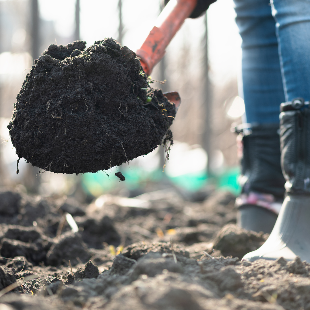 Build better soil with these readily available amendments – Fresh From ...