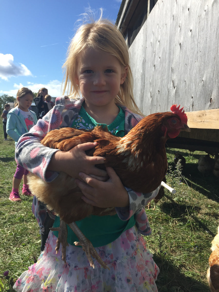 Farm Experiences – Fresh From Maple Ridge Farm
