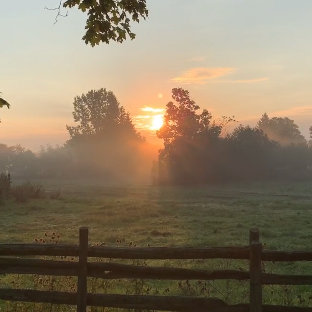 Flower Experience – Fresh From Maple Ridge Farm